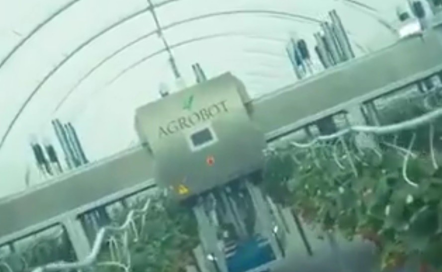 AGROBOT: A New Automatic Harvesting Machine For Strawberry Farmers ...