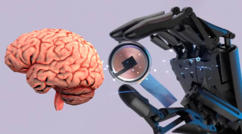 Implanting Of Chip In The Brain: How Elon Musk’s Neuralink Technology ...